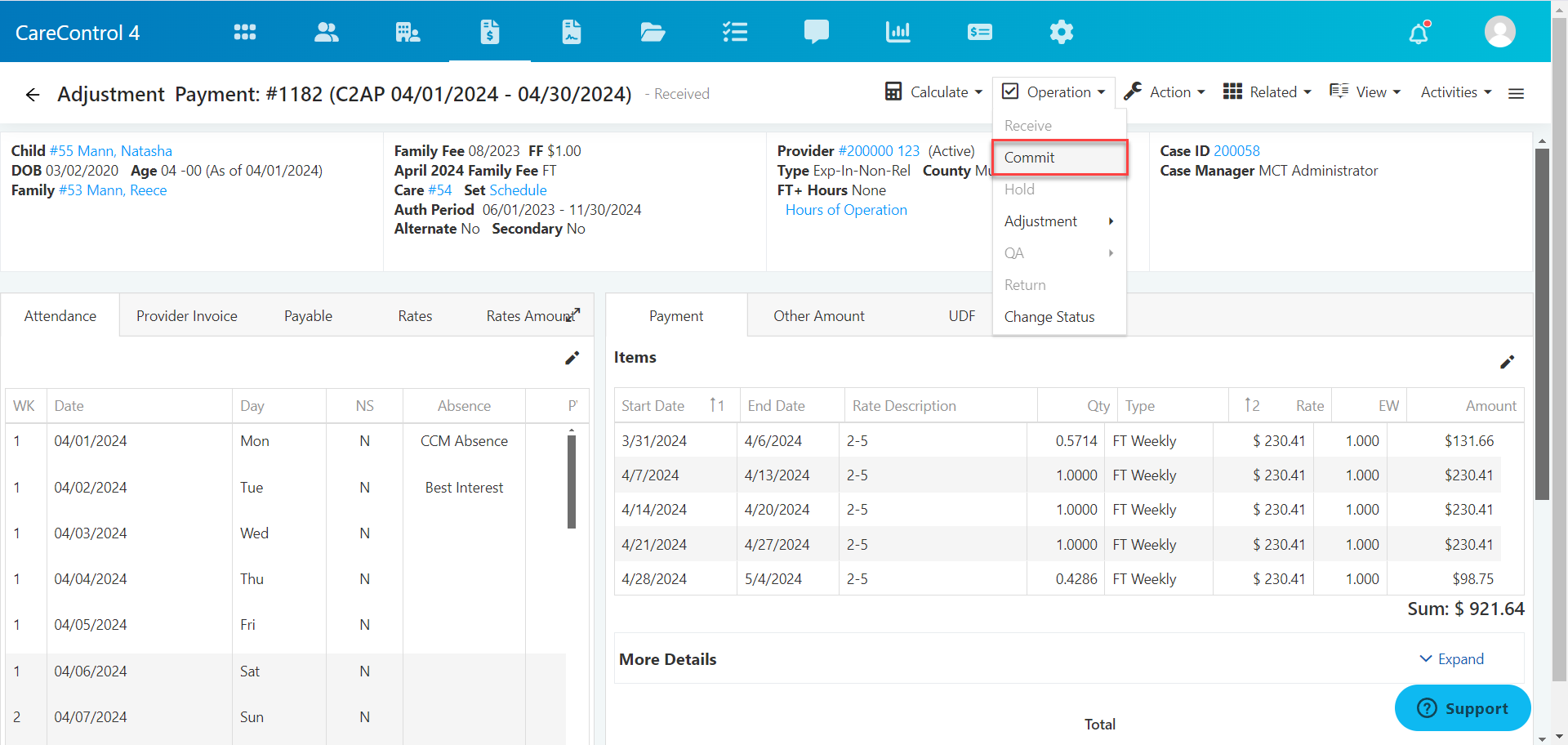 CareControl 4: Completing a Payment Adjustment – MCT Technology, Inc.
